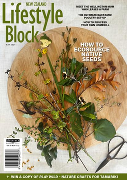 Home : NZ Lifestyle Block